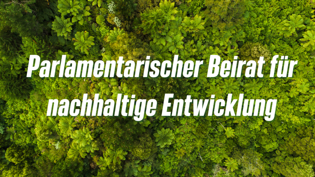 Öffentliche Anhörung zu Internationaler Verantwortung und ...